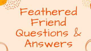 Feathered Friend Questions & Answers - WittyChimp
