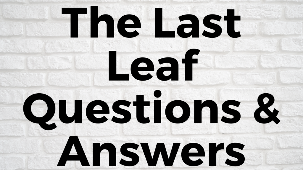 The Last Leaf Questions & Answers - WittyChimp