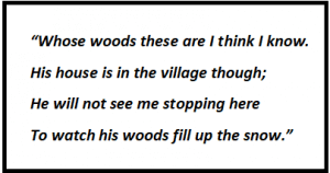 Stopping by Woods on a Snowy Evening Questions & Answers - WittyChimp