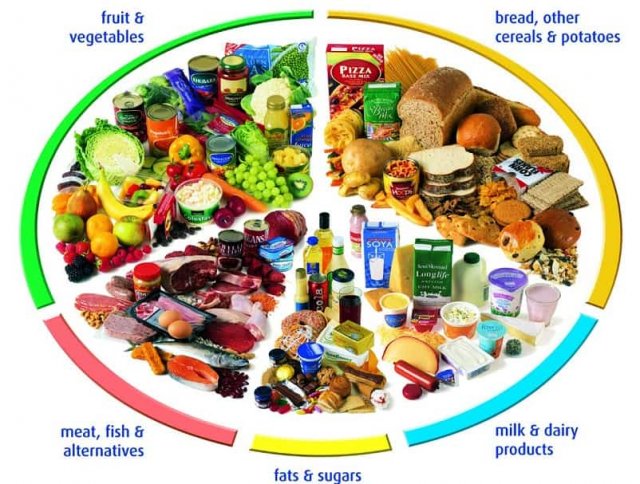 Health and Hygiene Questions & Answers - WittyChimp