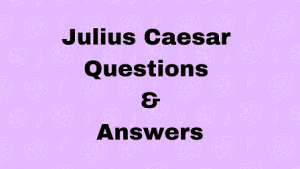 Julius Caesar Questions & Answers - WittyChimp