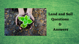 Land and Soil Questions & Answers - WittyChimp