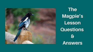 The Magpie’s Lesson Questions & Answers - WittyChimp