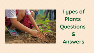 Types of Plants Questions & Answers - WittyChimp
