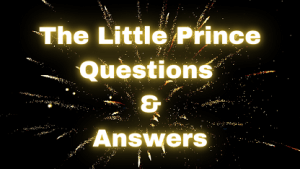 The Little Prince Questions & Answers - WittyChimp