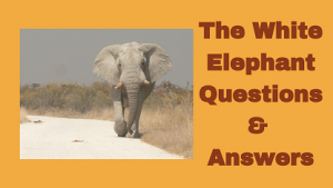 The White Elephant Questions & Answers - WittyChimp