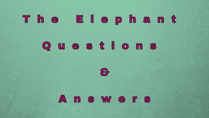 The Elephant Questions & Answers - WittyChimp