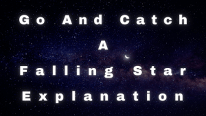 Go and Catch A Falling Star Explanation - WittyChimp