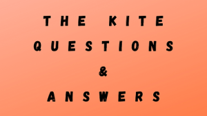 The Kite Questions & Answers - WittyChimp