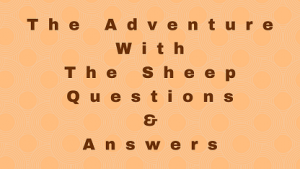 The Adventure With The Sheep Questions & Answers - WittyChimp