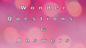 Wonder Questions & Answers - WittyChimp