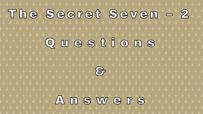 The Secret Seven – 2 Questions & Answers - WittyChimp