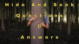 Hide and Seek Questions & Answers - WittyChimp