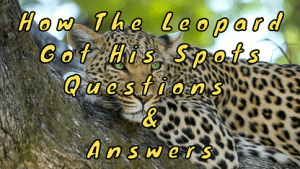 How The Leopard Got His Spots Questions & Answers - WittyChimp