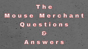 The Mouse Merchant Questions & Answers - WittyChimp