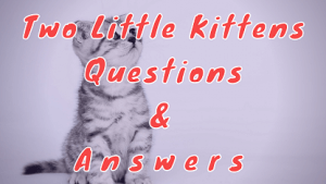 Two Little Kittens Questions & Answers - WittyChimp
