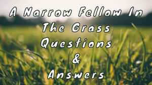 A Narrow Fellow In The Grass Questions & Answers - WittyChimp