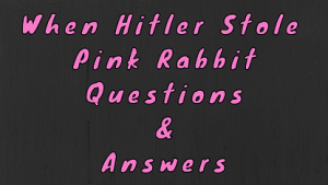 When Hitler Stole Pink Rabbit Questions & Answers - WittyChimp