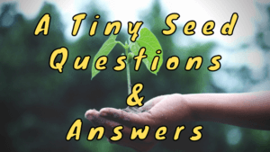 A Tiny Seed Questions & Answers - WittyChimp