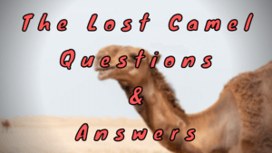 The Lost Camel Questions & Answers - WittyChimp
