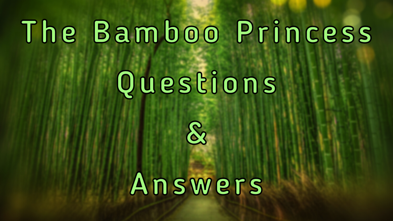 The Bamboo Princess Questions & Answers - WittyChimp