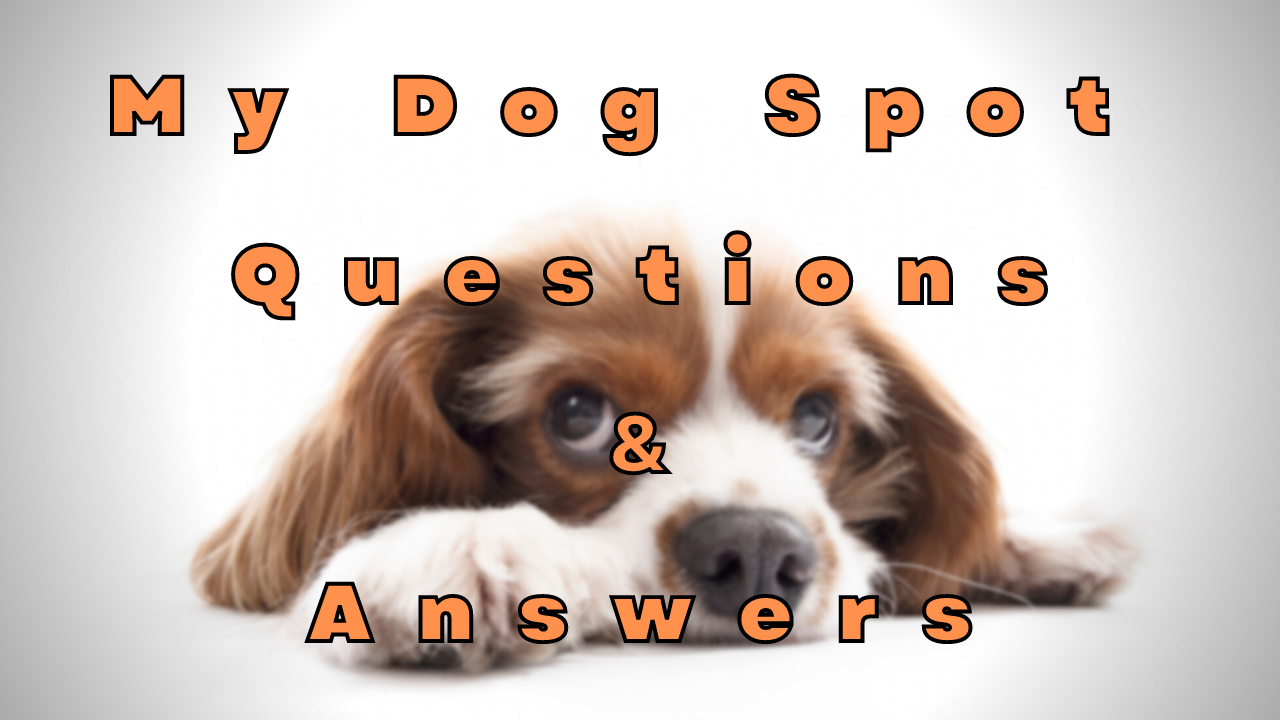 My Dog Spot Questions & Answers - WittyChimp