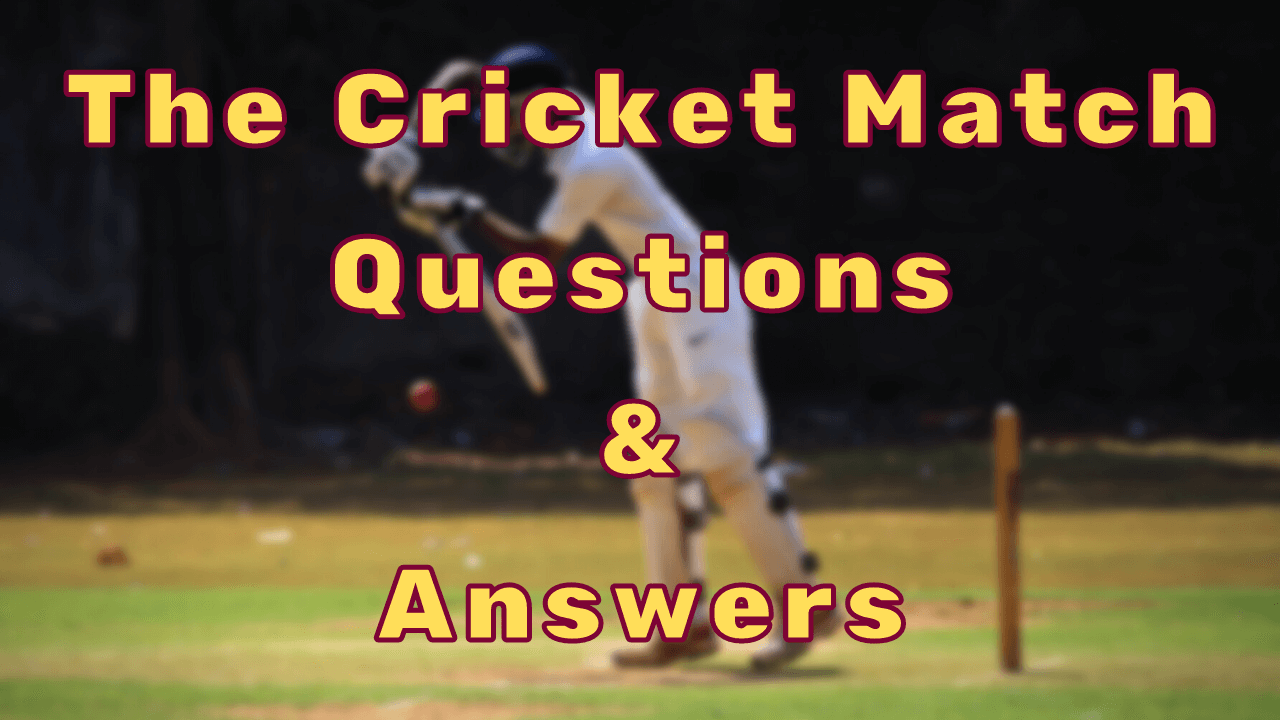 The Cricket Match Questions & Answers - WittyChimp