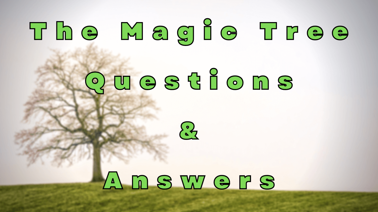 The Magic Tree Questions & Answers - WittyChimp The Magic Tree Questions & Answers - WittyChimp