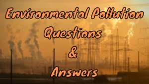 Environmental Pollution Questions & Answers - WittyChimp
