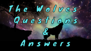 The Wolves Questions & Answers - WittyChimp