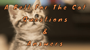 A Bell For The Cat Questions & Answers - WittyChimp