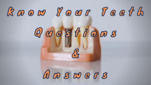 Know Your Teeth Questions & Answers - WittyChimp