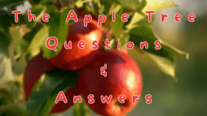 The Apple Tree Questions & Answers - WittyChimp