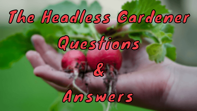 The Headless Gardener Questions & Answers - WittyChimp The Headless Gardener Questions & Answers - WittyChimp