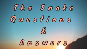 The Snake Questions & Answers - WittyChimp