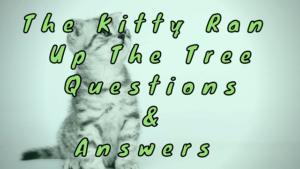 The Kitty Ran Up The Tree Questions & Answers - WittyChimp