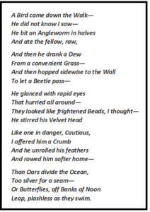 Emily Dickinson Most Famous Poems - WittyChimp