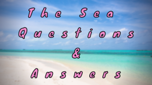 The Sea Questions & Answers - WittyChimp