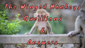 The Winged Monkeys Questions & Answers - WittyChimp