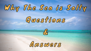 Why the Sea is Salty Questions & Answers - WittyChimp