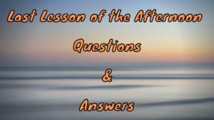 Last Lesson of the Afternoon Questions & Answers - WittyChimp