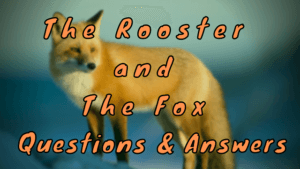 The Rooster and The Fox Questions & Answers - WittyChimp