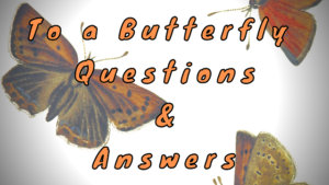 To a Butterfly Questions & Answers - WittyChimp