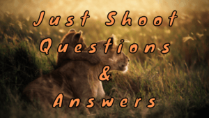 Just Shoot Questions & Answers - WittyChimp