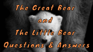 The Great Bear and the Little Bear Questions & Answers - WittyChimp