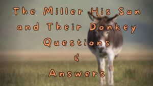 The Miller His Son and Their Donkey Questions & Answers - WittyChimp