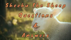 Sheebu The Sheep Questions & Answers - WittyChimp