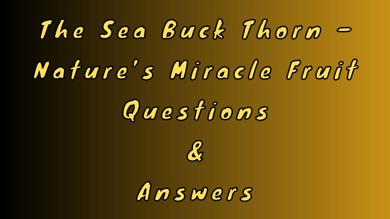 The Sea Buck Thorn – Nature’s Miracle Fruit Questions & Answers ...
