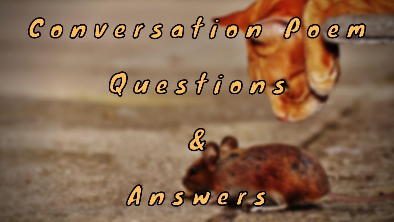 Conversation Poem Questions Answers WittyChimp
