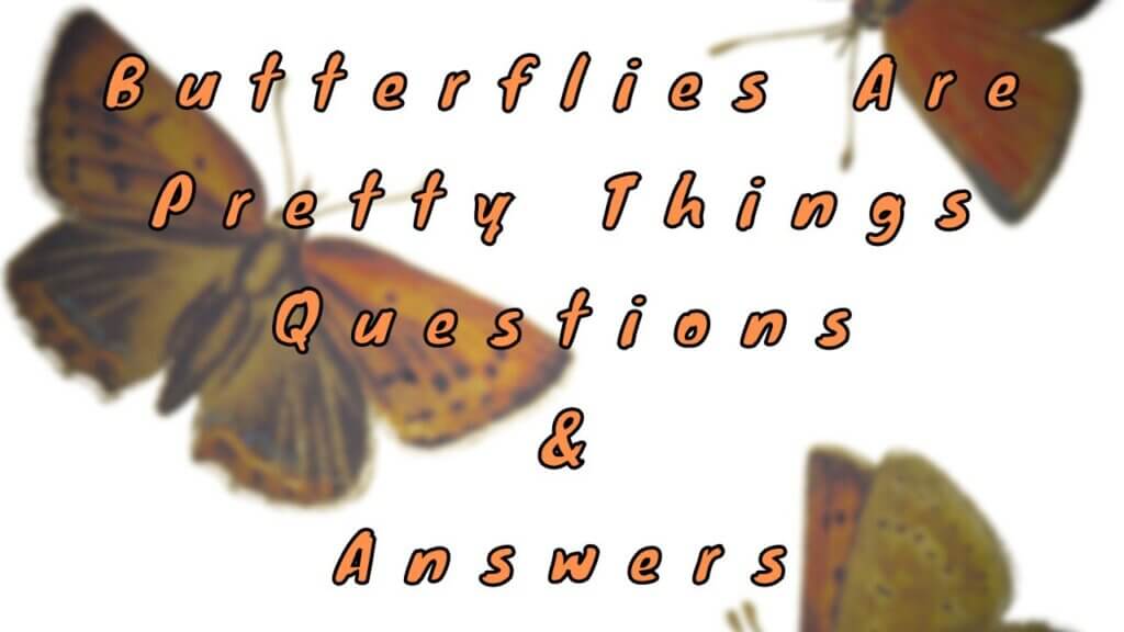 English Literature Archives - WittyChimp